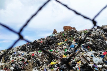 RIAUPAGI.com | Pengelola Angkutan Sampah Pekanbaru 2025 Diumumkan, Dewan: DLHK Jelaskan Pemenang ...